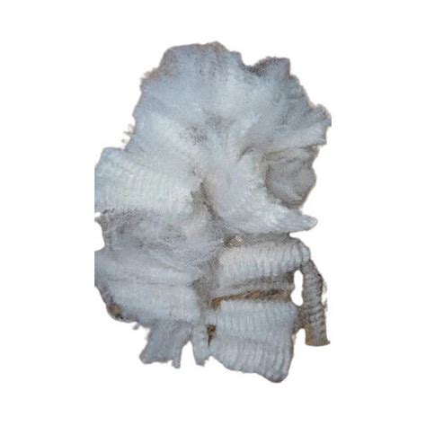 White 55mm Hollow Conjugated Polyester Staple Fibre At Best Price In
