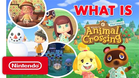 Animal Crossing Switch 5 kreative Tipps für dein Inselparadies
