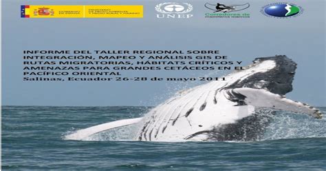 contenido mayo taller corredores