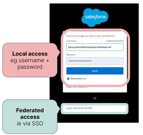 The Growing Importance Of Securing Local Access In Saas Applications