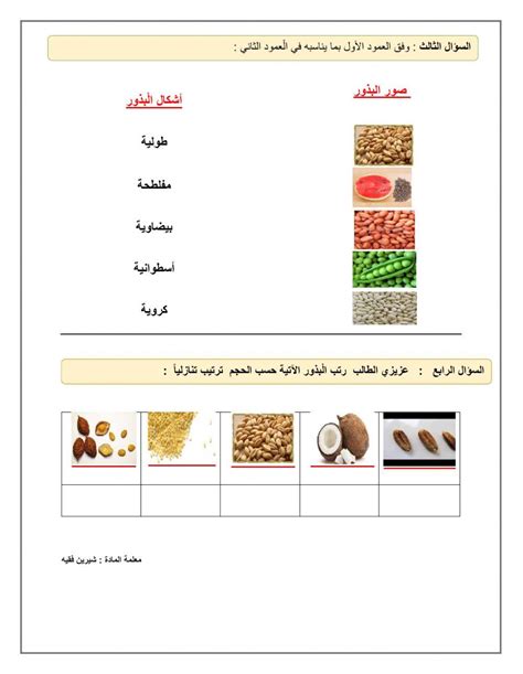 ورقة عمل تفاعلي Free Interactive Worksheets 4364882