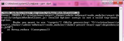 reactjs invalid option corejs is not a valid top level option