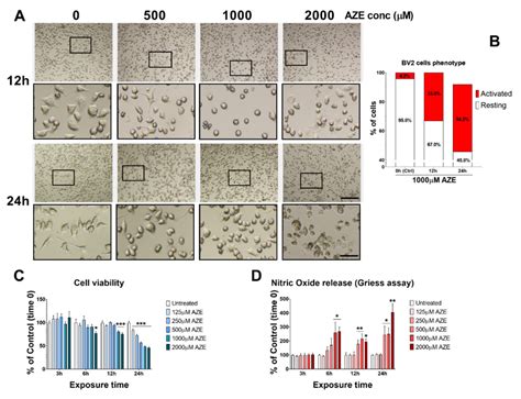 Dose Response Effects Of Aze Exposure On Bv2 Microglial Cell Viability