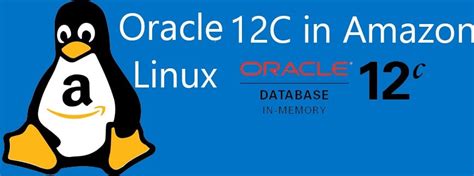 How To Install Oracle 12c On Amazon Linux In Silent Mode
