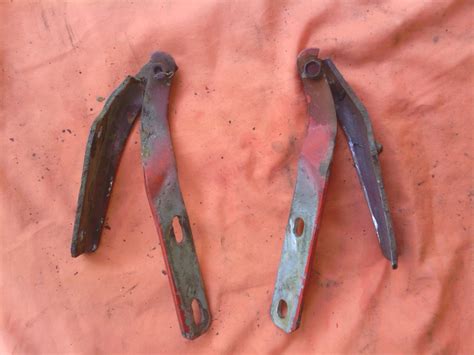 Sarkice Haube Za Jugo Floridu 20734993