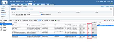 会话 cookie 未设置 secure 属性 腾讯云开发者社区 腾讯云