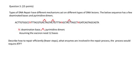solved question 3 15 points types of dna repair have