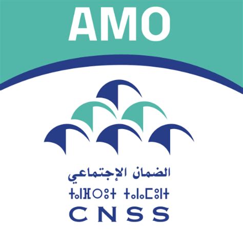 Cnssamo La Digitalisation Complète De Lamo Avant Trois Ans