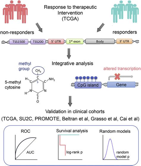Schematic Representation Of The Systematic Integrative Approach Top