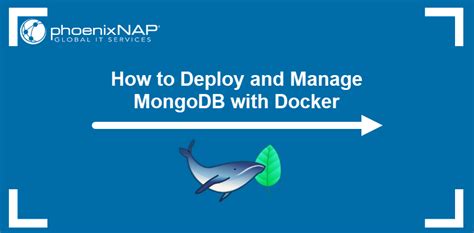 How To Set Up And Configure A Mysql Docker Container Tutorial