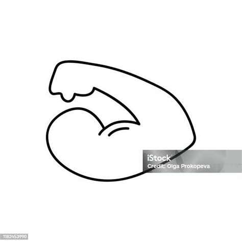 이두근 근육 아이콘입니다 보디 강한 팔 기호 역도 피트 니스 기호입니다 흰색 배경의 선형 윤곽선 아이콘입니다 건강한 생활방식에