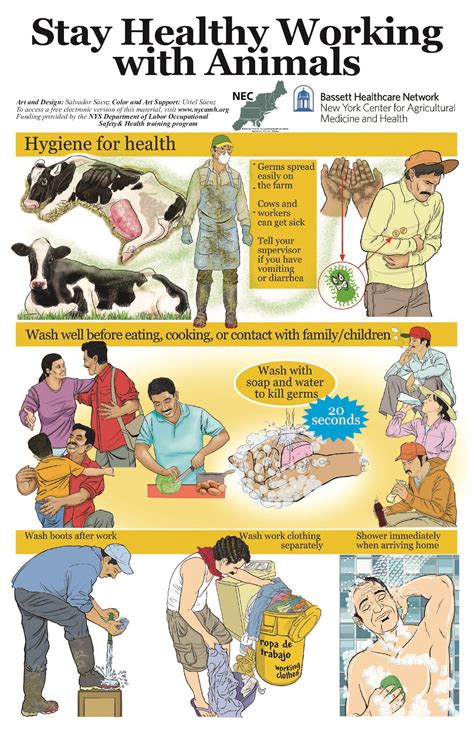 Safety Posters Nycamh