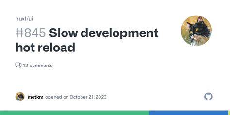 Slow Development Hot Reload Issue Nuxt Ui GitHub