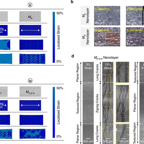 Crack Propagation Behaviors Of Mn Sensors With Homogenous And Download Scientific Diagram