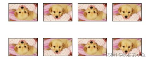 PyTorch 使用torchvision进行图片数据增广 源码巴士