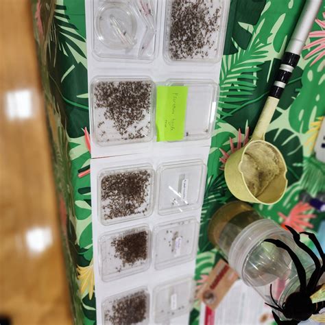 Lake County Indiana Health Department Please Be Sure To Check Out The