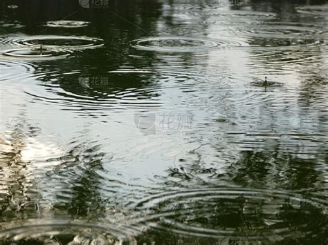 水的涟漪和雨滴的倒影素材 花瓣网