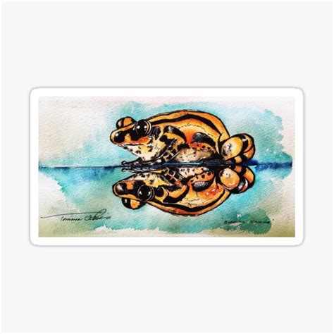 Bubbling Kassina Sticker For Sale By Tamrynpohlart Redbubble