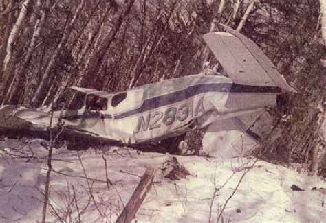 biplane tree crash