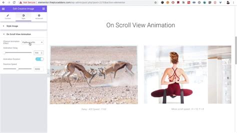 Tutorial Setup On Scroll View Animation Settings For Widgets In The