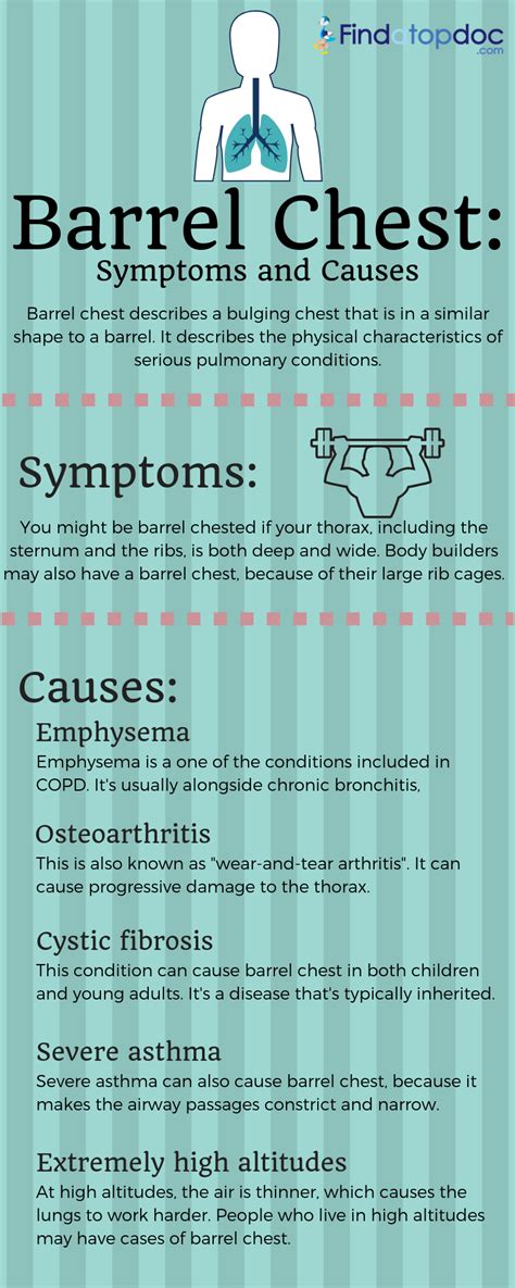 What Is A Barrel Chest