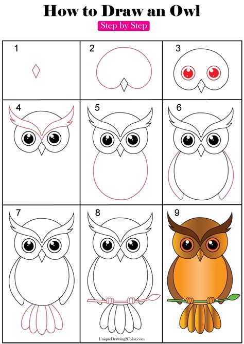Easy To Draw Owl