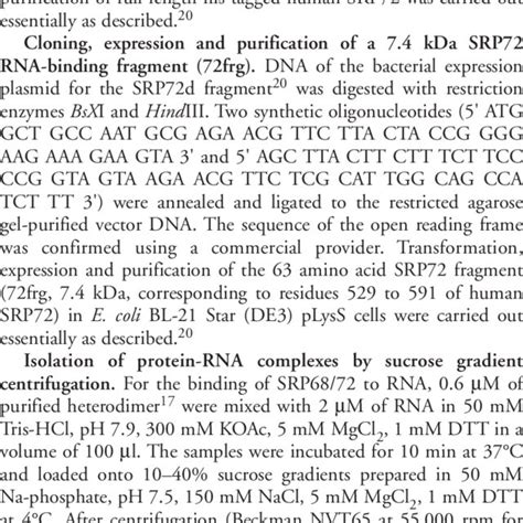 Mutants Of Human Srp Rna A Schematic Secondary Structure Of The