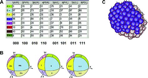 A Coding Matrix Associated With A Cell A A Coding Matrix Shown In Download Scientific