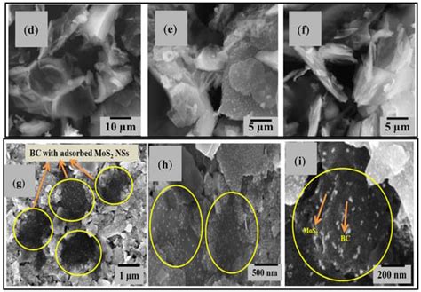 Synergistic Effect In Mos2 Nanosheetsbiochar Nanocomposites With Enhanced Surface Area And