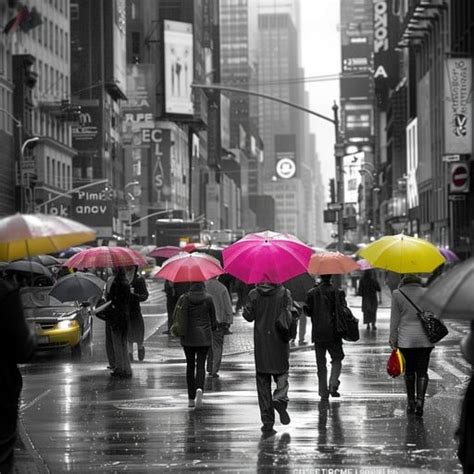 Free Rainy City Walk Image City Rain Umbrellas Download At Stockcake