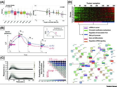 Information Theoretic Approaches To The Quantification Of Information