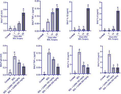 The Level Of Igg And Pro Inflammatory Cytokines In The Broncho Alveolar Download Scientific