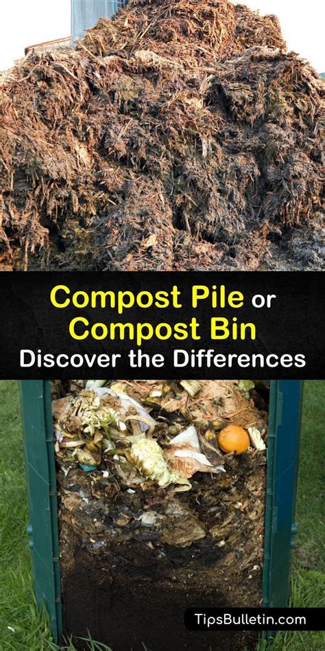 Compost Pile Vs Compost Bin Understand The Differences
