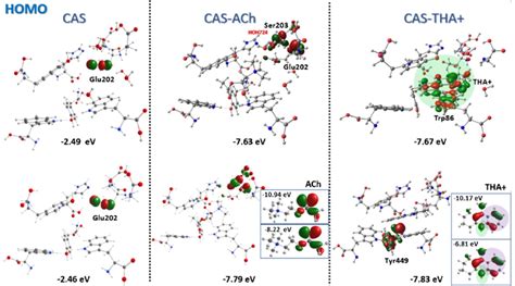 Homo Orbital Contribution And Energies For Cas Casach And Cas Tha
