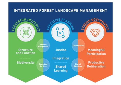 Three Key Pillars For Integrity Based Forest Landscape Management Primary Forests And Climate