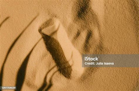 제품 프리젠 테이션을위한 파스텔 색상의 모래와 배경 화장품 시연을 위한 패션쇼 0명에 대한 스톡 사진 및 기타 이미지 0명 3차원 형태 기업 비즈니스 Istock