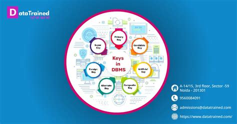 Network Dbms Datatrained2020