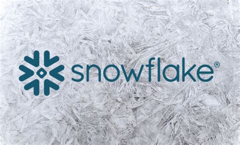 Snowflake Names Neeva Co Founder As Ceo With Focus On Ai
