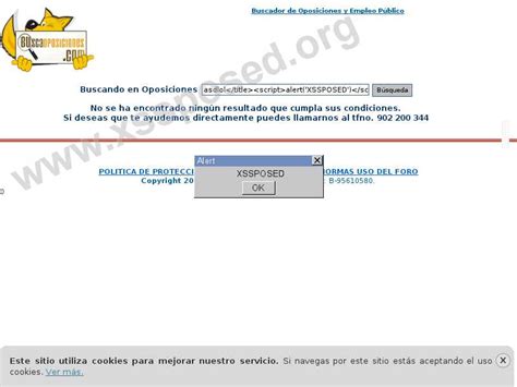 cross site scripting vulnerability obb 67403
