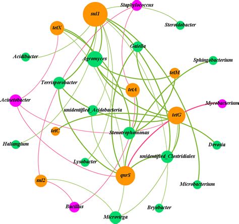 Network Analysis Of The Co Occurrence Of Args And Their Potential Host Download Scientific