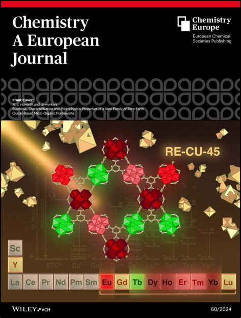 Perylene Bisimide‐functionalized Triphenylmethyl Radicals Showing High