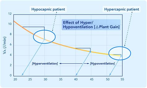Deciphering Loop Gain Complexity A Primer For Understanding A Pathophysiological Trait Of