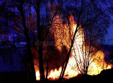 Trees On Fire Stock Image Image Of Inferno Yellow Devastating