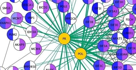 精选：15款顶尖python知识图谱（关系网络）绘制工具，数据分析的强力助手腾讯新闻