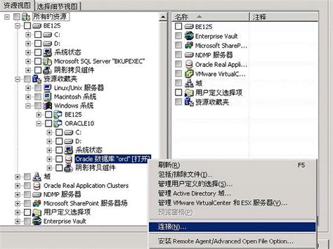 Backup Exec 在windows平台下安装、设置及对oracle数据库备份详细说明evilven的博客 Csdn博客
