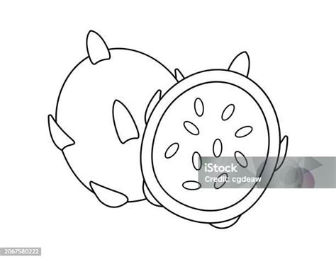 색칠하기 책 서식 파일을위한 용과 개요 어린이 그림 워크 시트 인쇄용 용 과일 아보카도에 대한 스톡 벡터 아트 및 기타 이미지