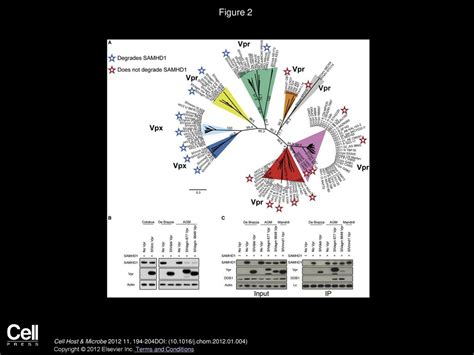 Volume 11 Issue 2 Pages February 2012 Ppt Download