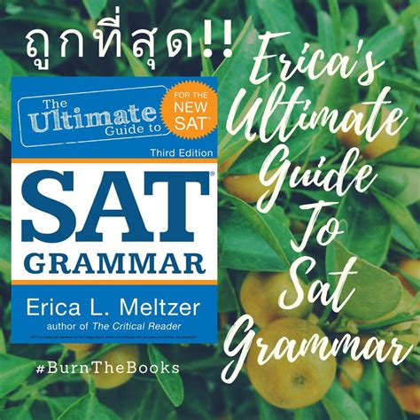 The Critical Reader The Complete Guide To Sat Grammar By Erica L