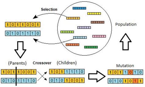 Stages Of Genetic Algorithm Download Scientific Diagram