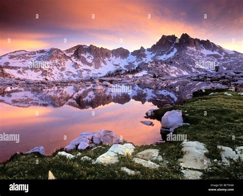 John Muir Fotos Und Bildmaterial In Hoher Auflösung Alamy